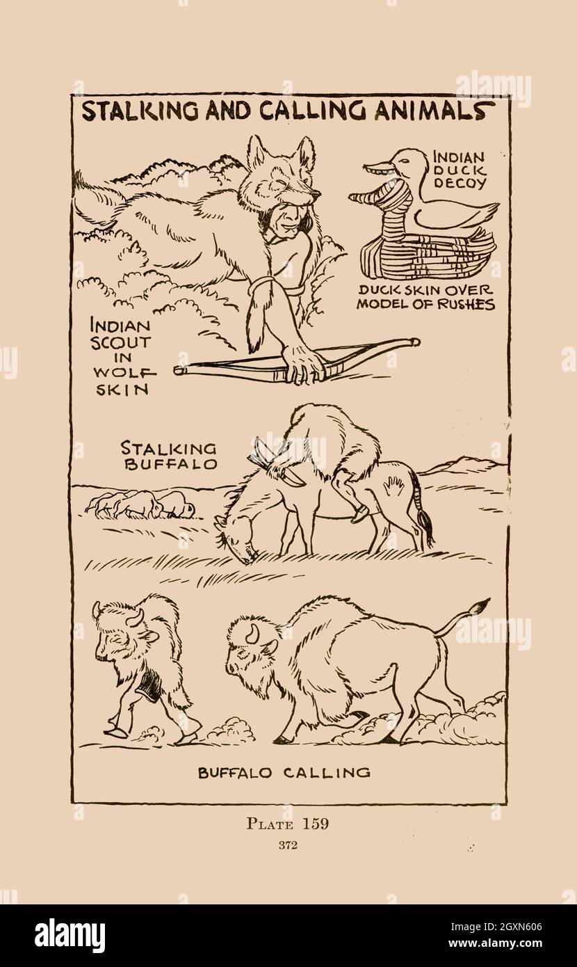 Buffalo calling hi-res stock photography and images - Alamy