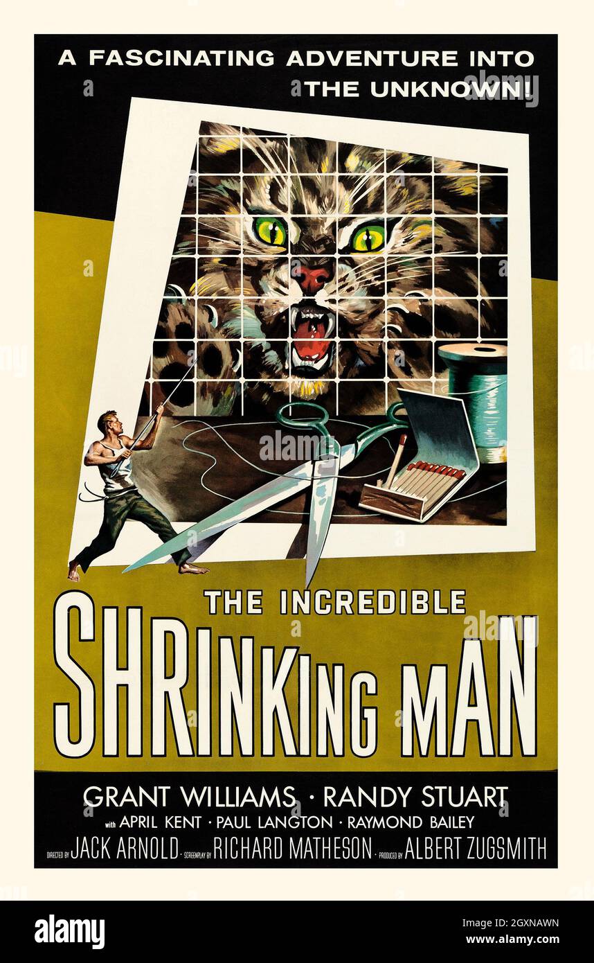 Shrinking man hi-res stock photography and images - Alamy
