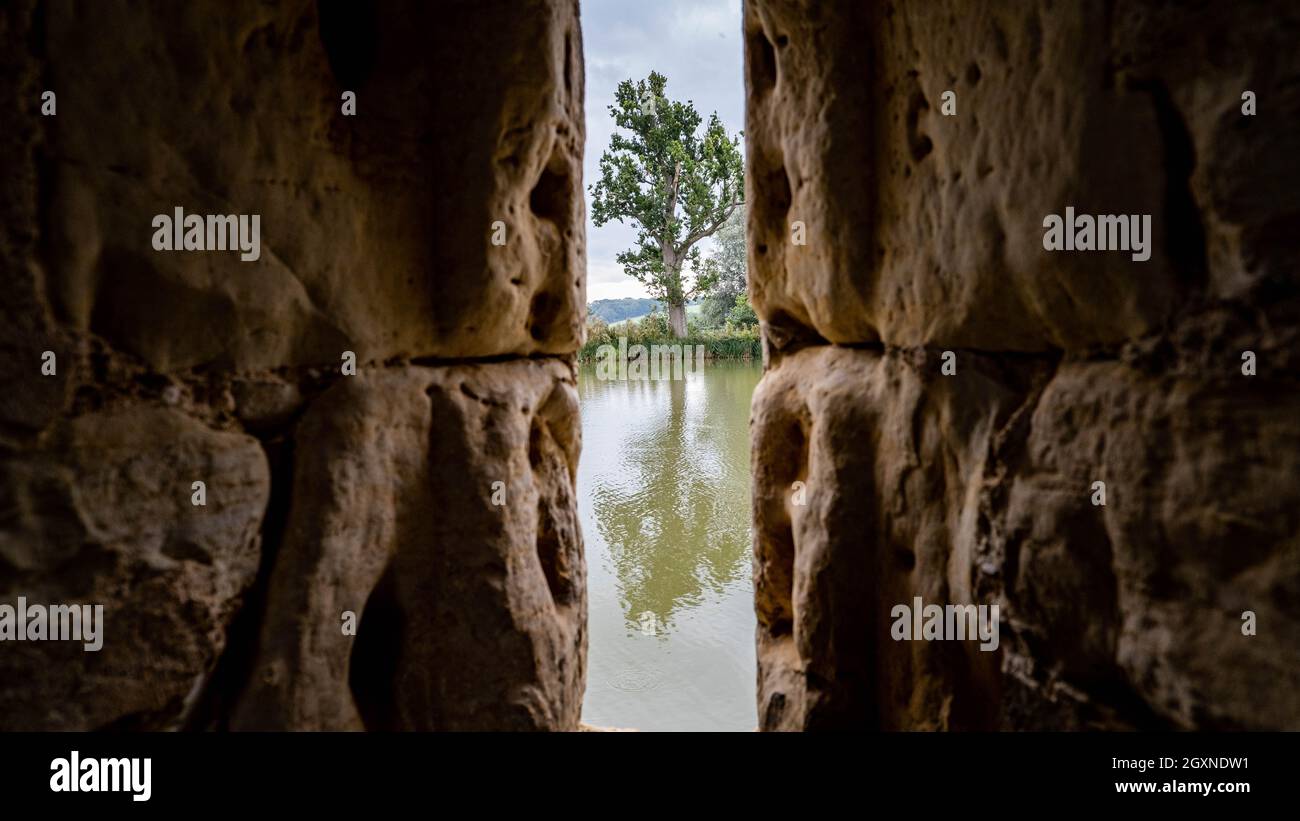 A view to a tree Stock Photo - Alamy