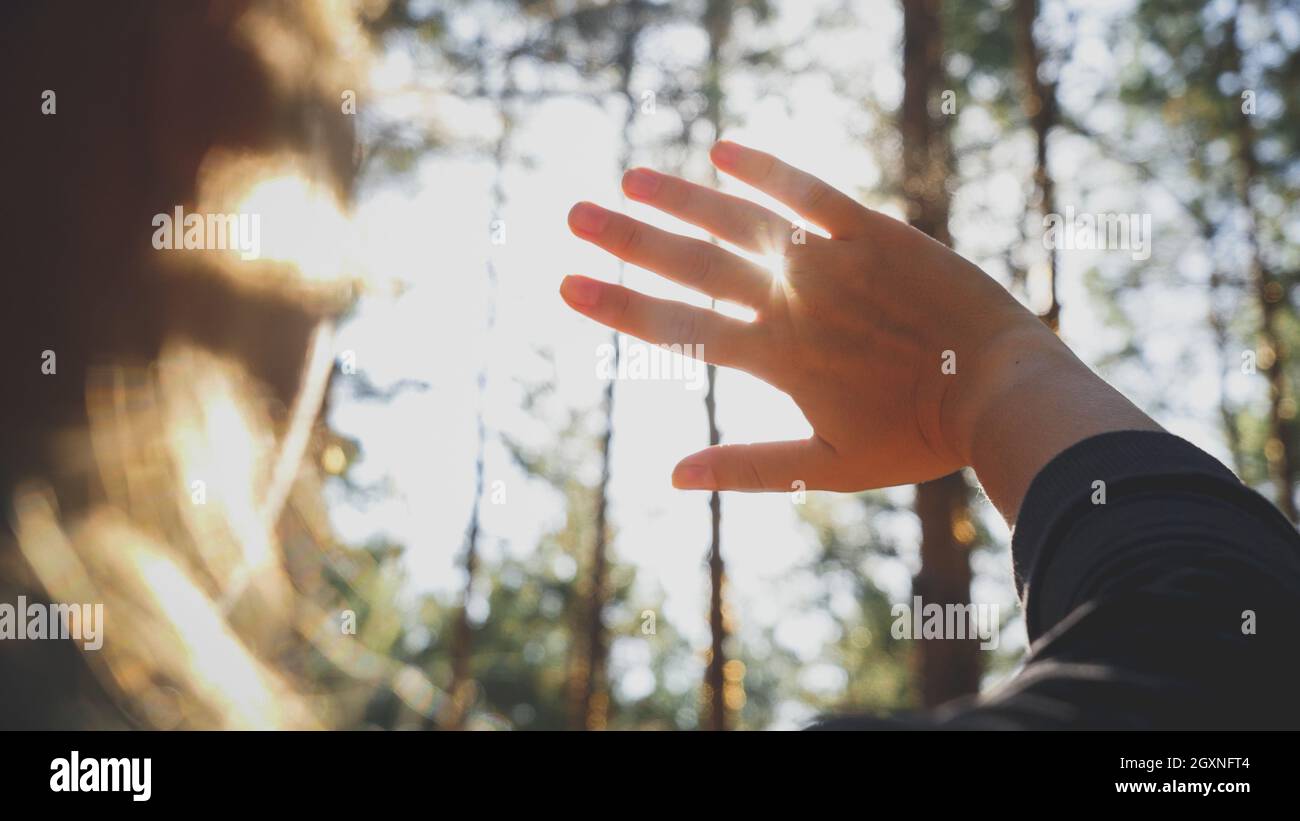 Closeup photo of sun shining through female fingers and hands in the ...