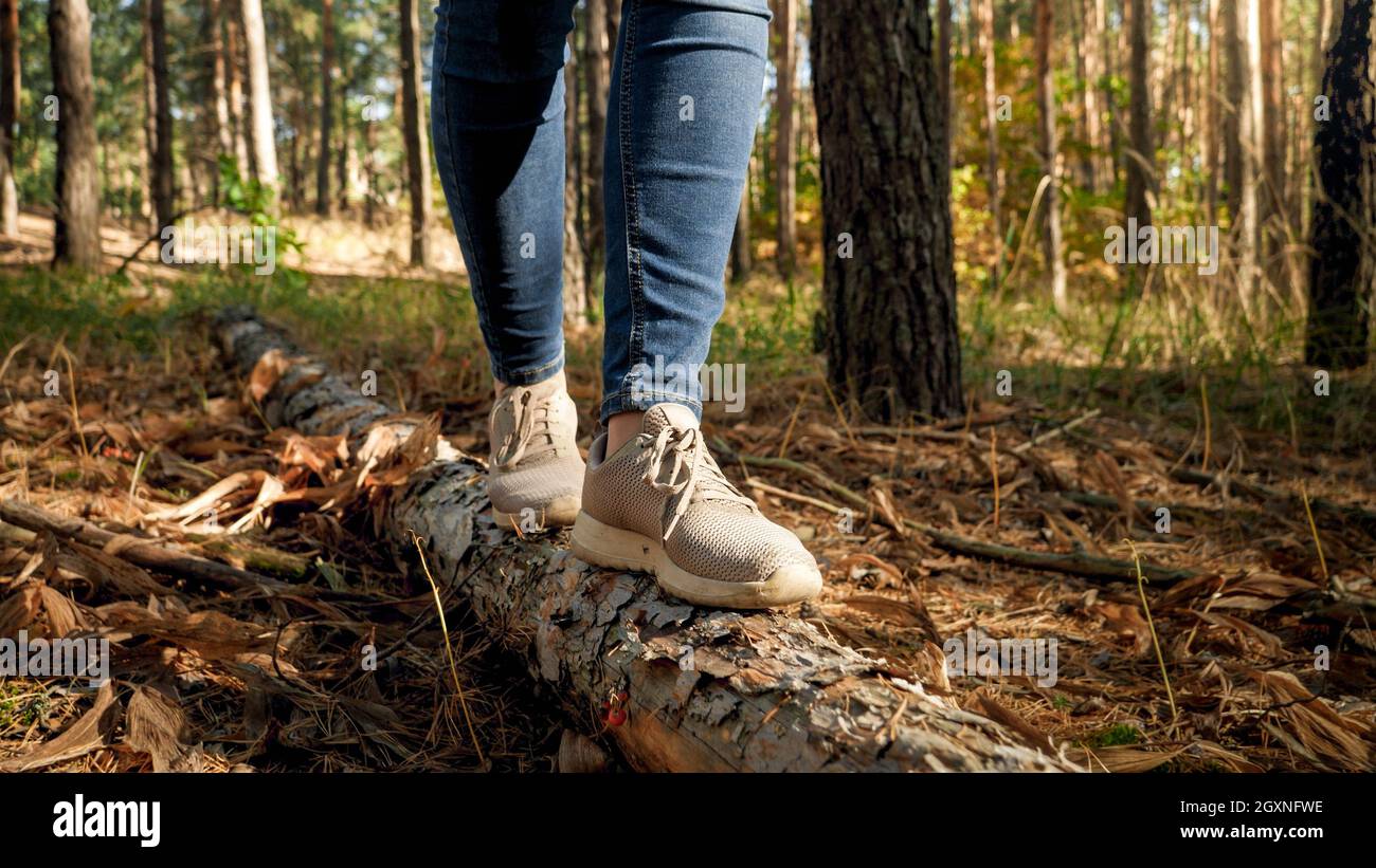 Closeup image of female feet balancing wooden log in pine tree forest ...