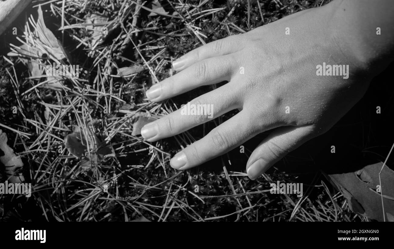 Black and white closeup image of young woman touching forest ground ...