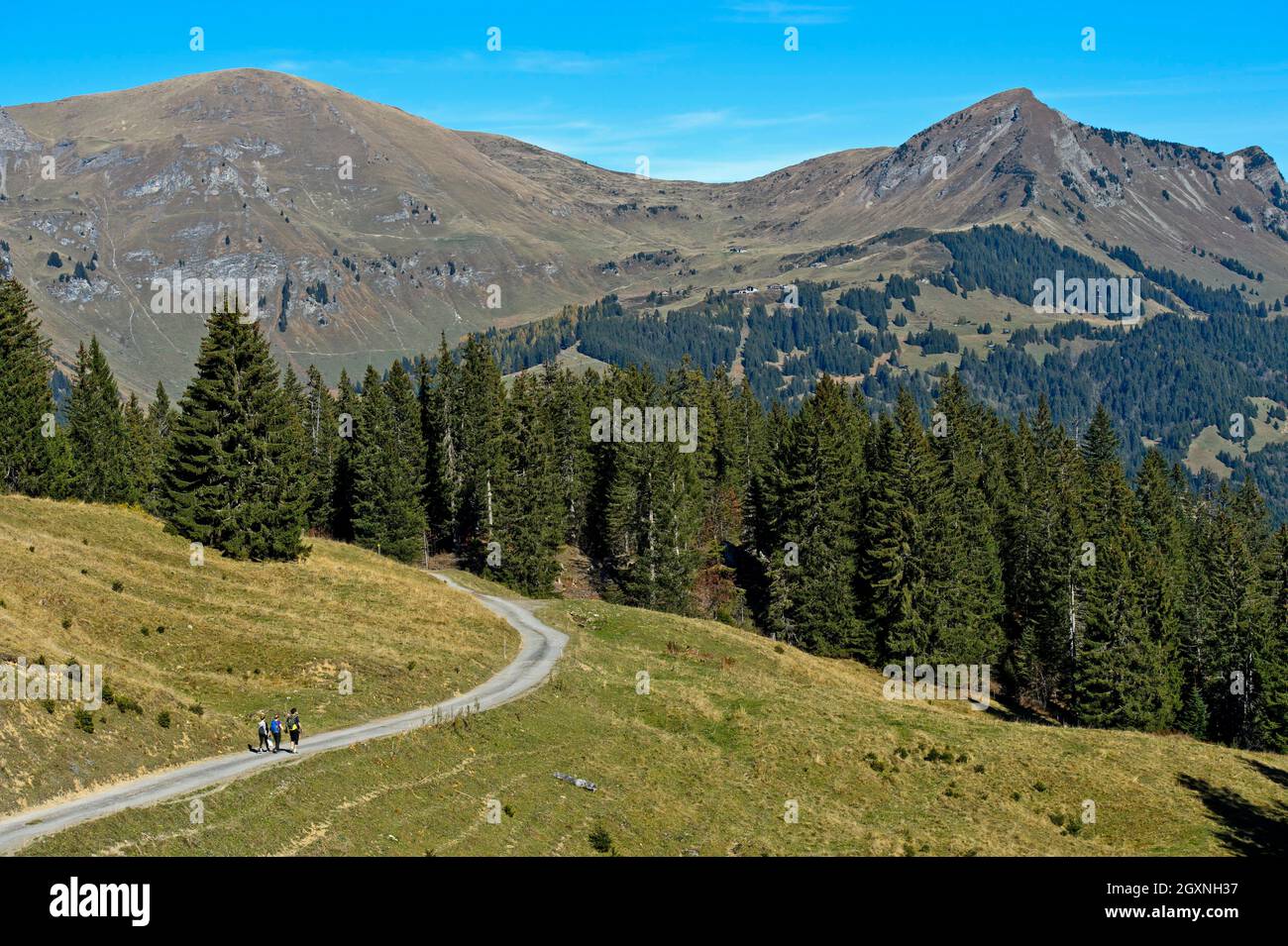 Diablerets village hi-res stock photography and images - Alamy