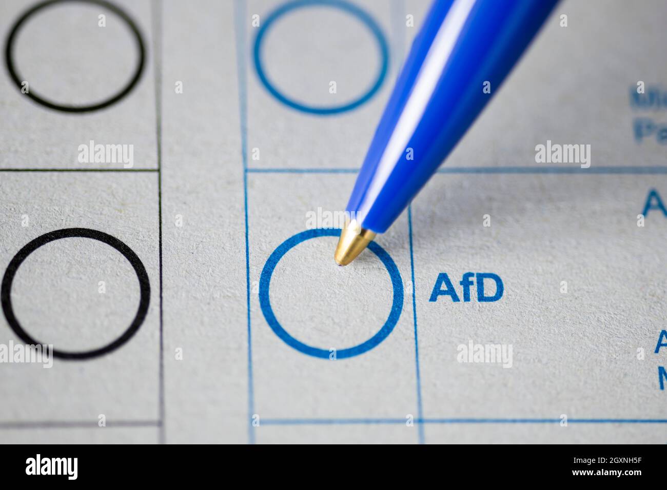 Biros with ballot paper, AFD, Germany Stock Photo - Alamy