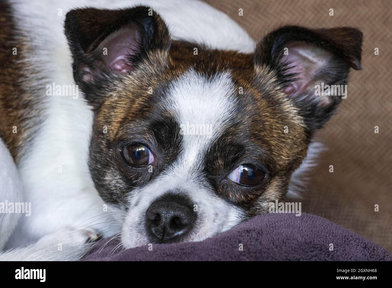 Figure at rest hi-res stock photography and images - Alamy