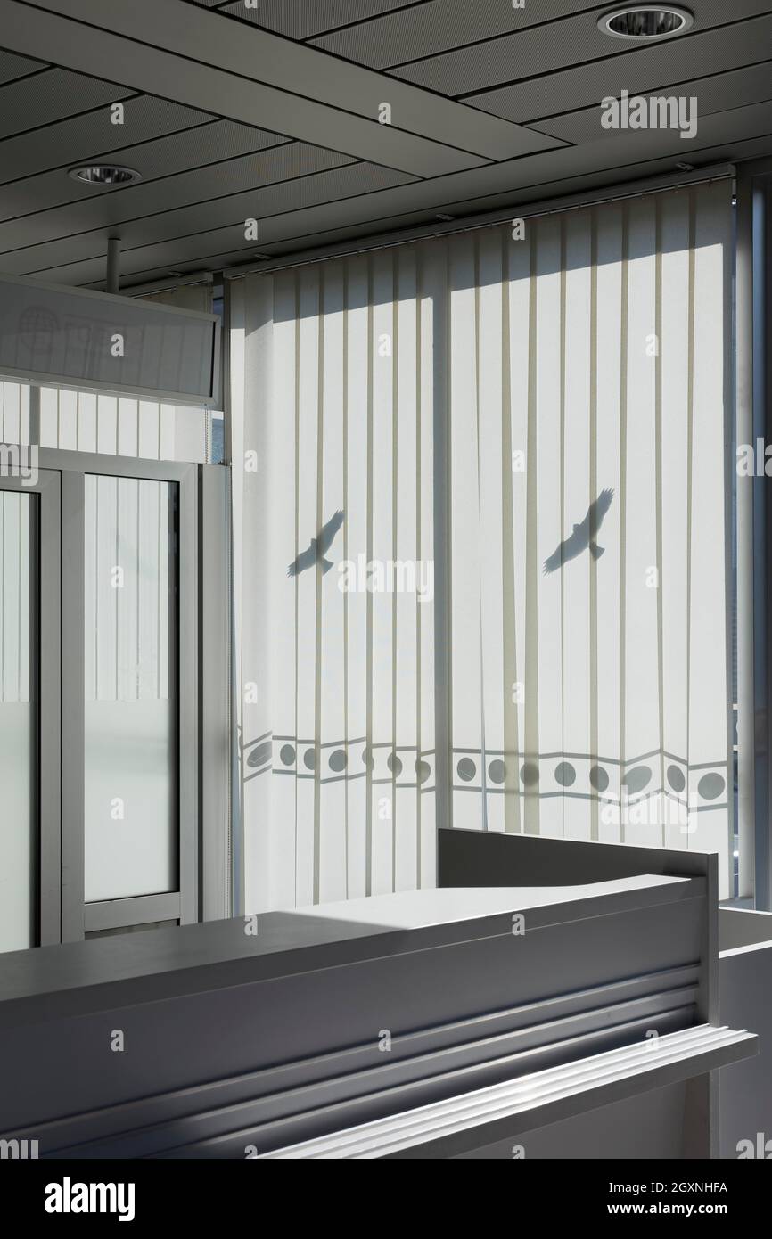 Birds Sticker High Resolution Stock Photography and Images - Alamy