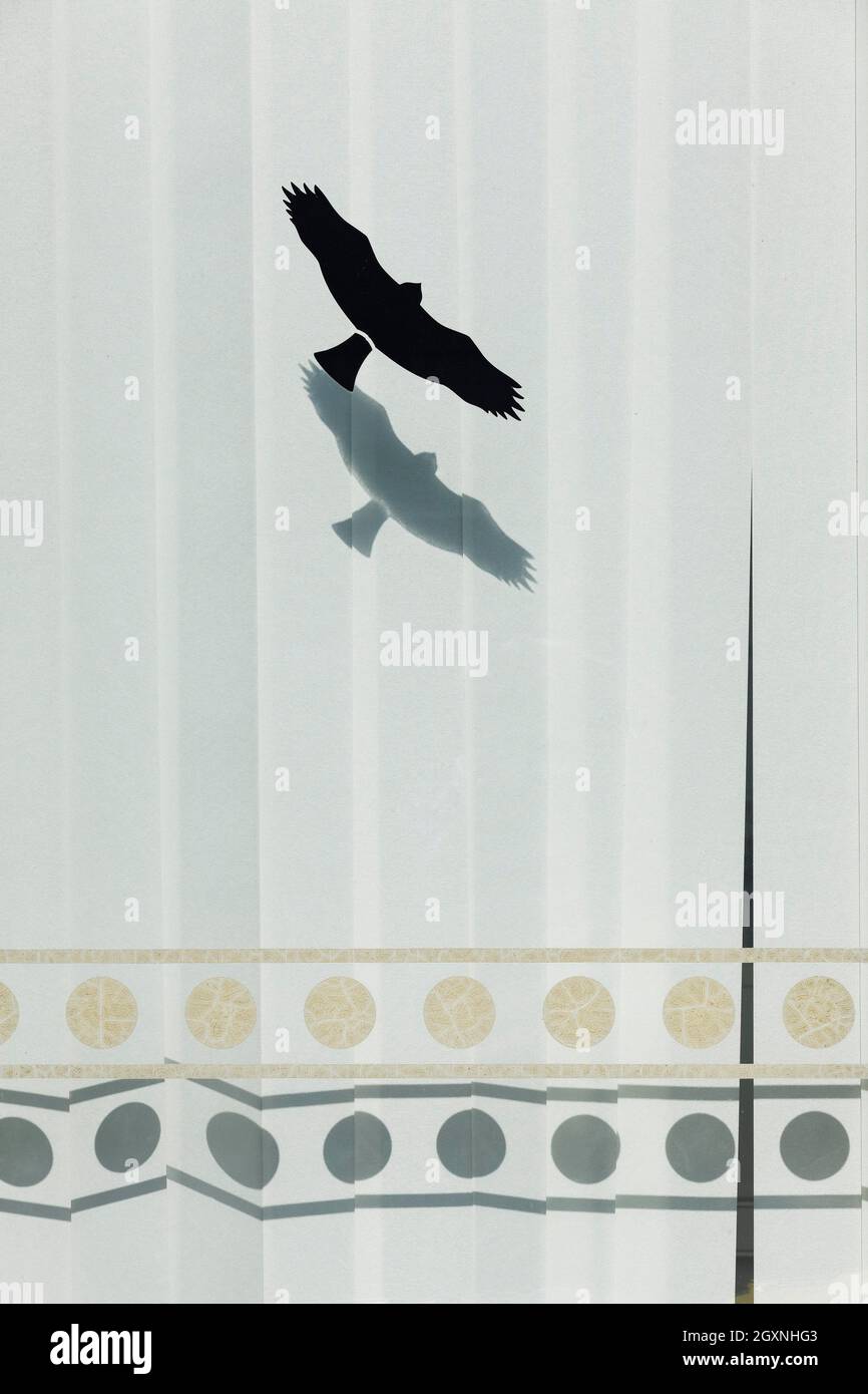 Office window with bird sticker against bird strike, warning birds for ...