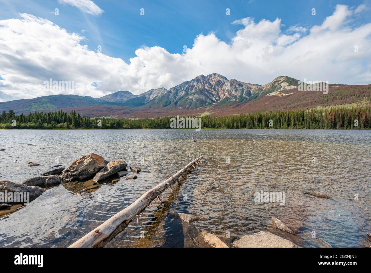 Trunk pyramid hi-res stock photography and images - Alamy