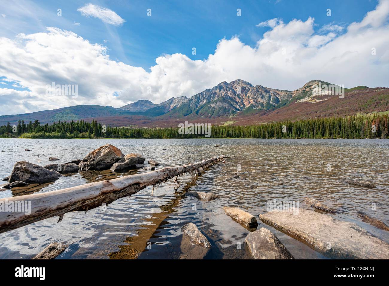 Rocks and tree trunks on the shore of Pyramid Lake, mountain peak ...