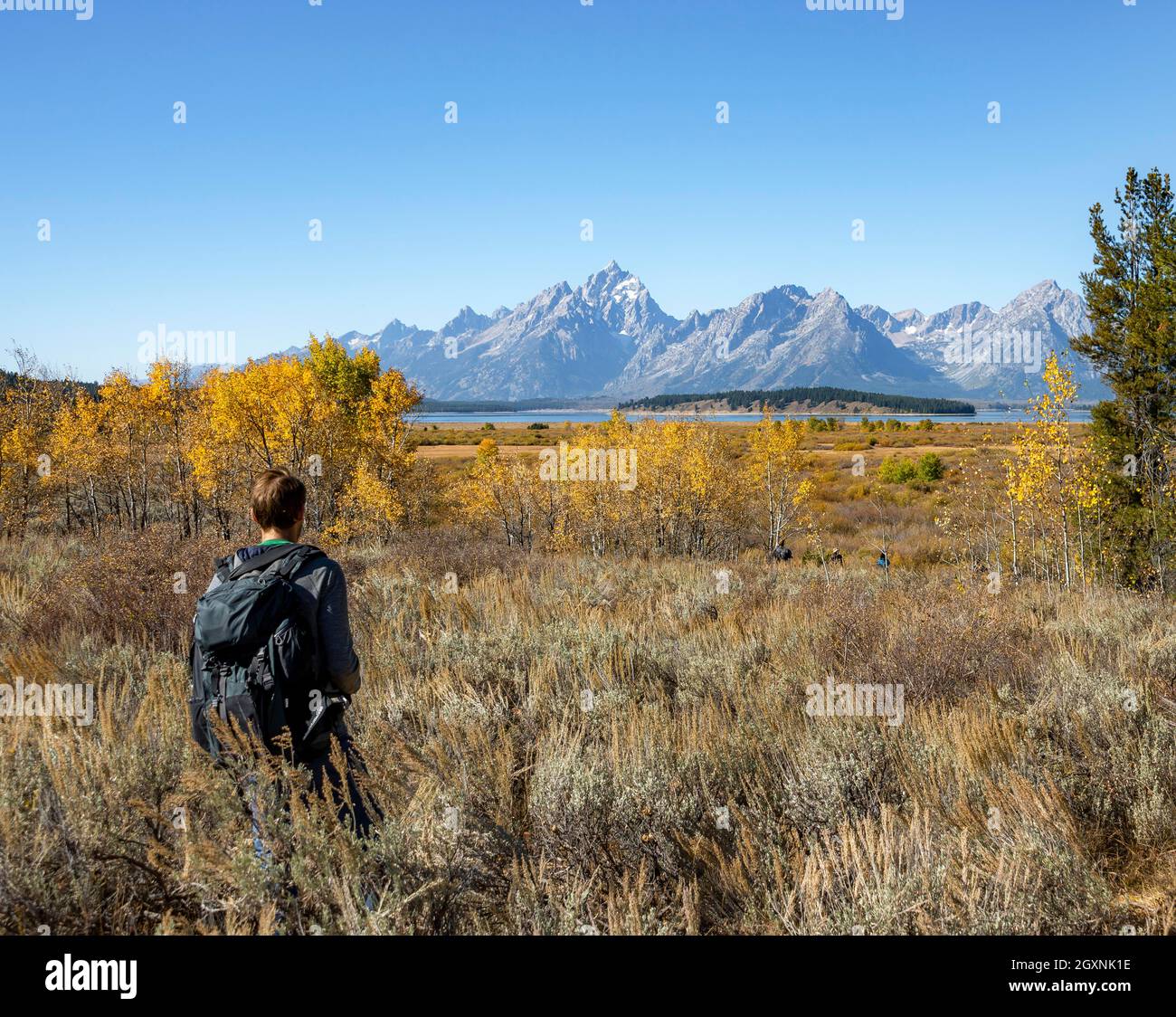 Young man looking into the distance, mountain panorama with Mount Moran ...