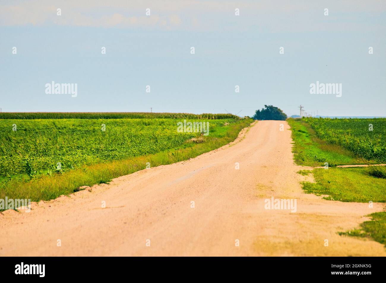 Road through farmland hi-res stock photography and images - Alamy