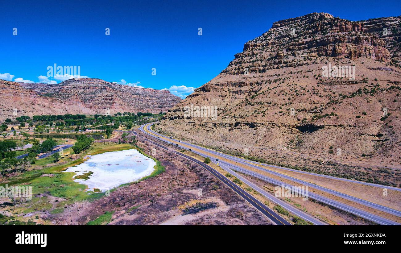 Forest fire damage to trees in desert Stock Photo - Alamy