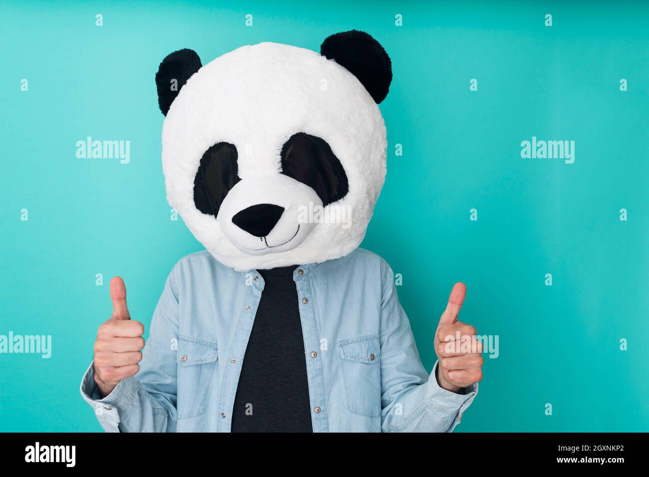 Isolated young man in panda mask doing thumbs up gesture Stock Photo ...