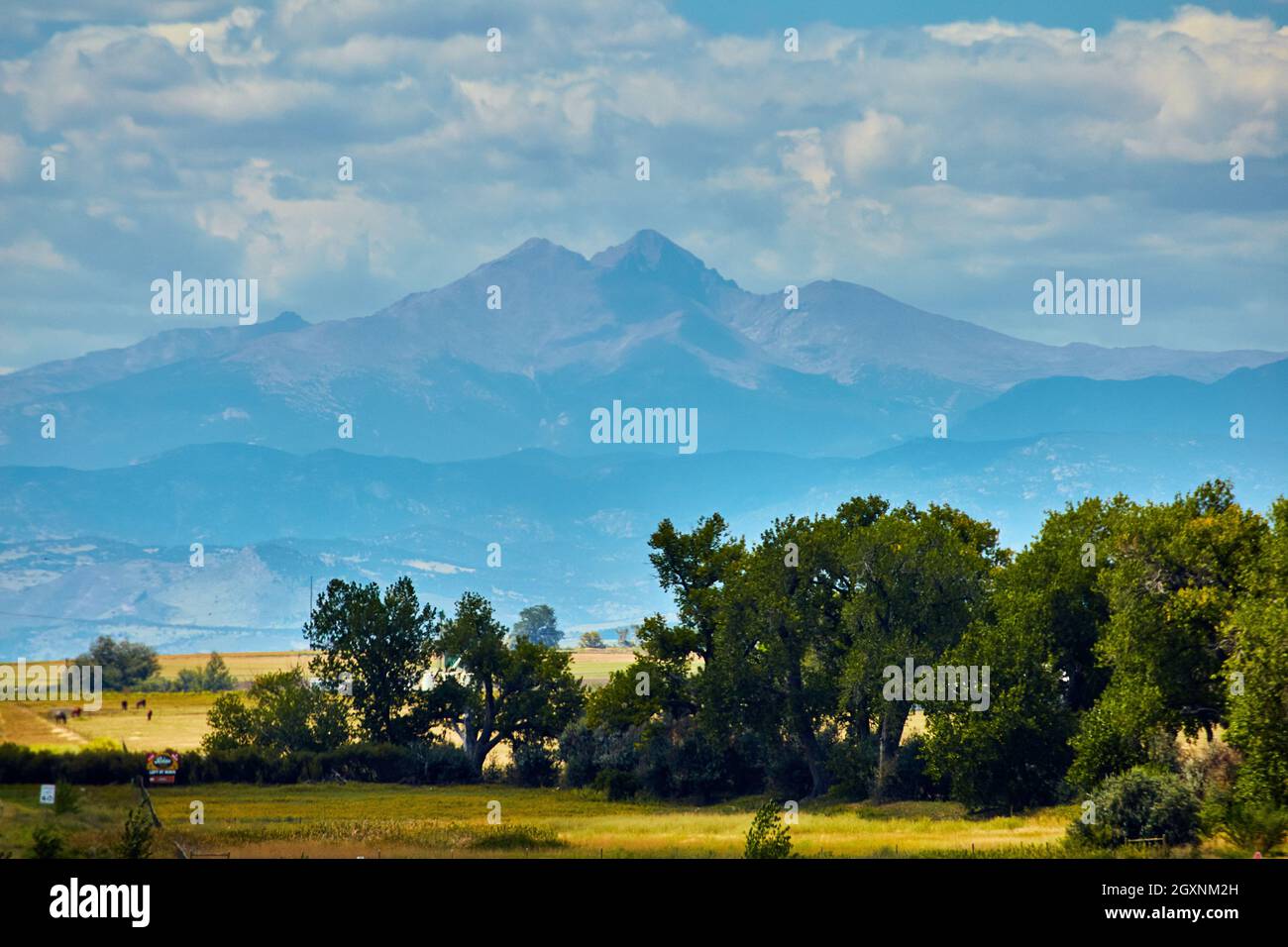 Desert landscape of trees with large mountains in the distance Stock ...