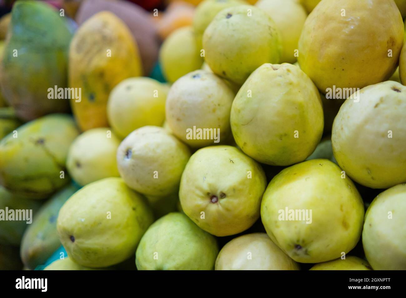Inside guava hi-res stock photography and images - Alamy