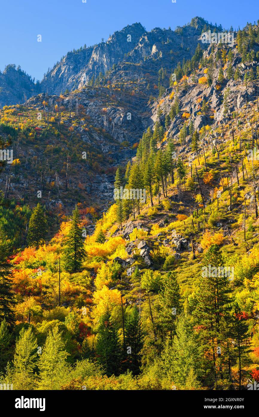 Canyon with fall colors hi-res stock photography and images - Alamy