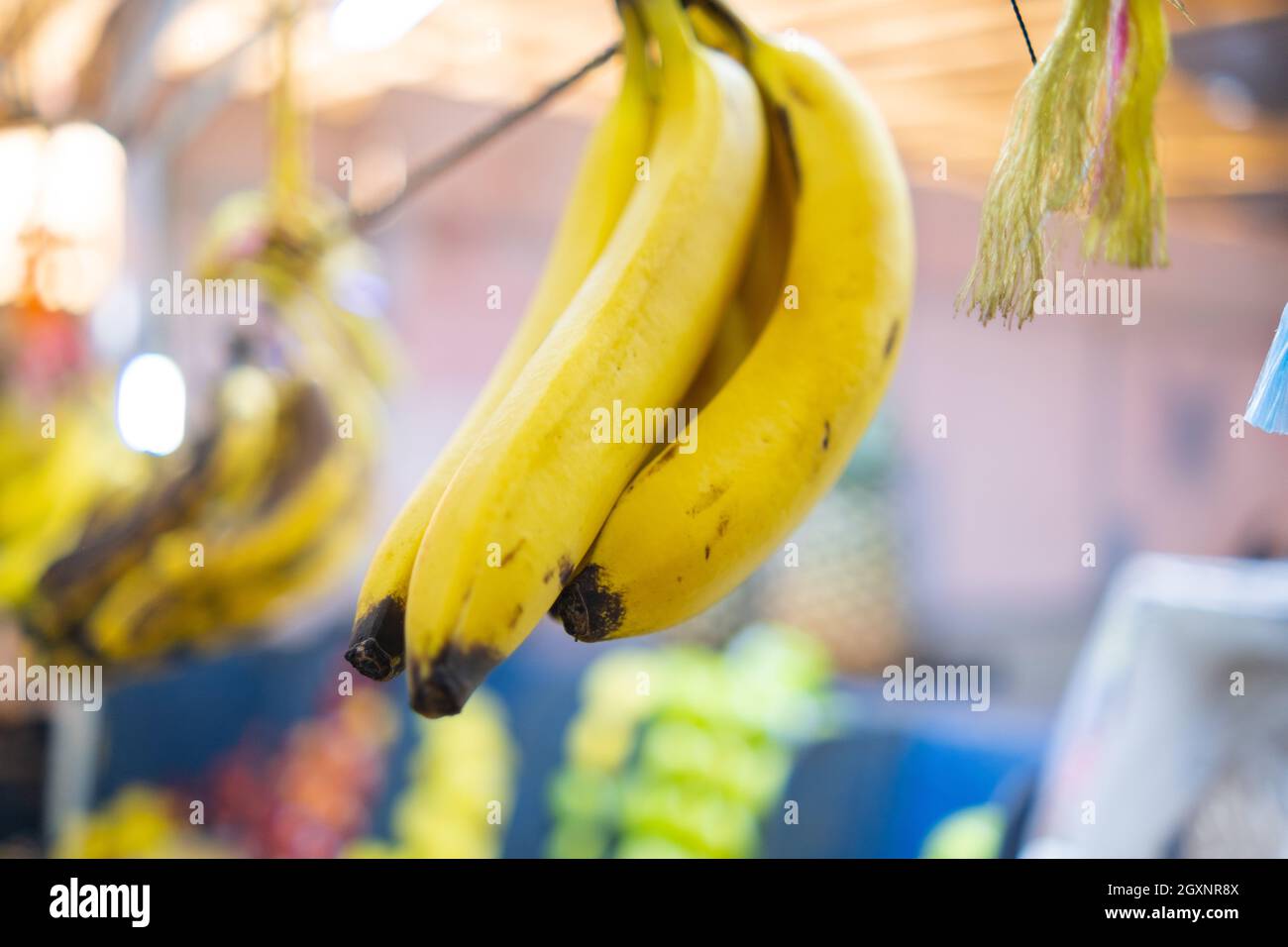 Bunch of bananas hanging from thin rope with more blurry fruit as ...