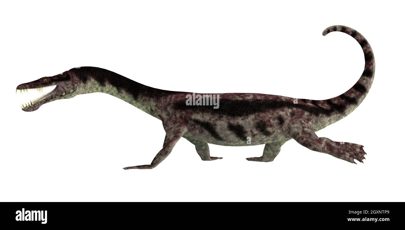 Nothosaurus Reptile Walking - Nothosaurus was a carnivorous marine ...