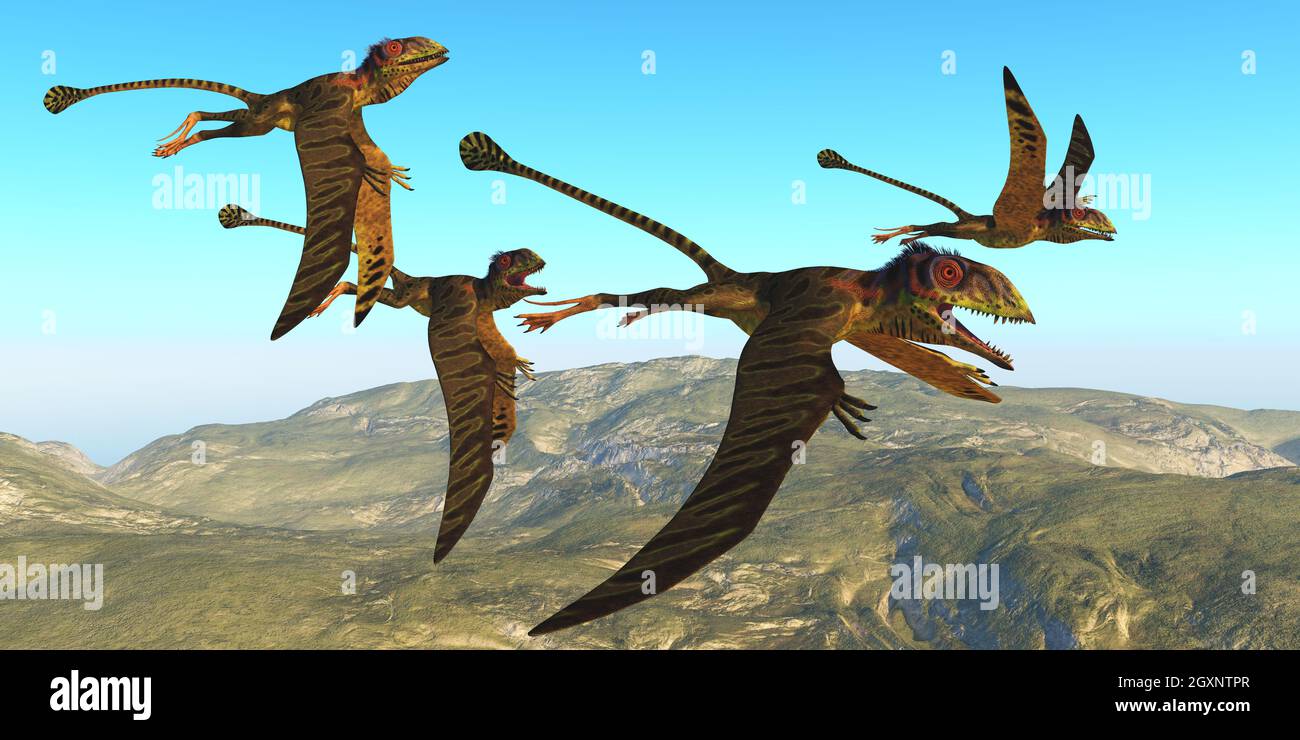 Most basal known pterosaurs hi-res stock photography and images - Alamy