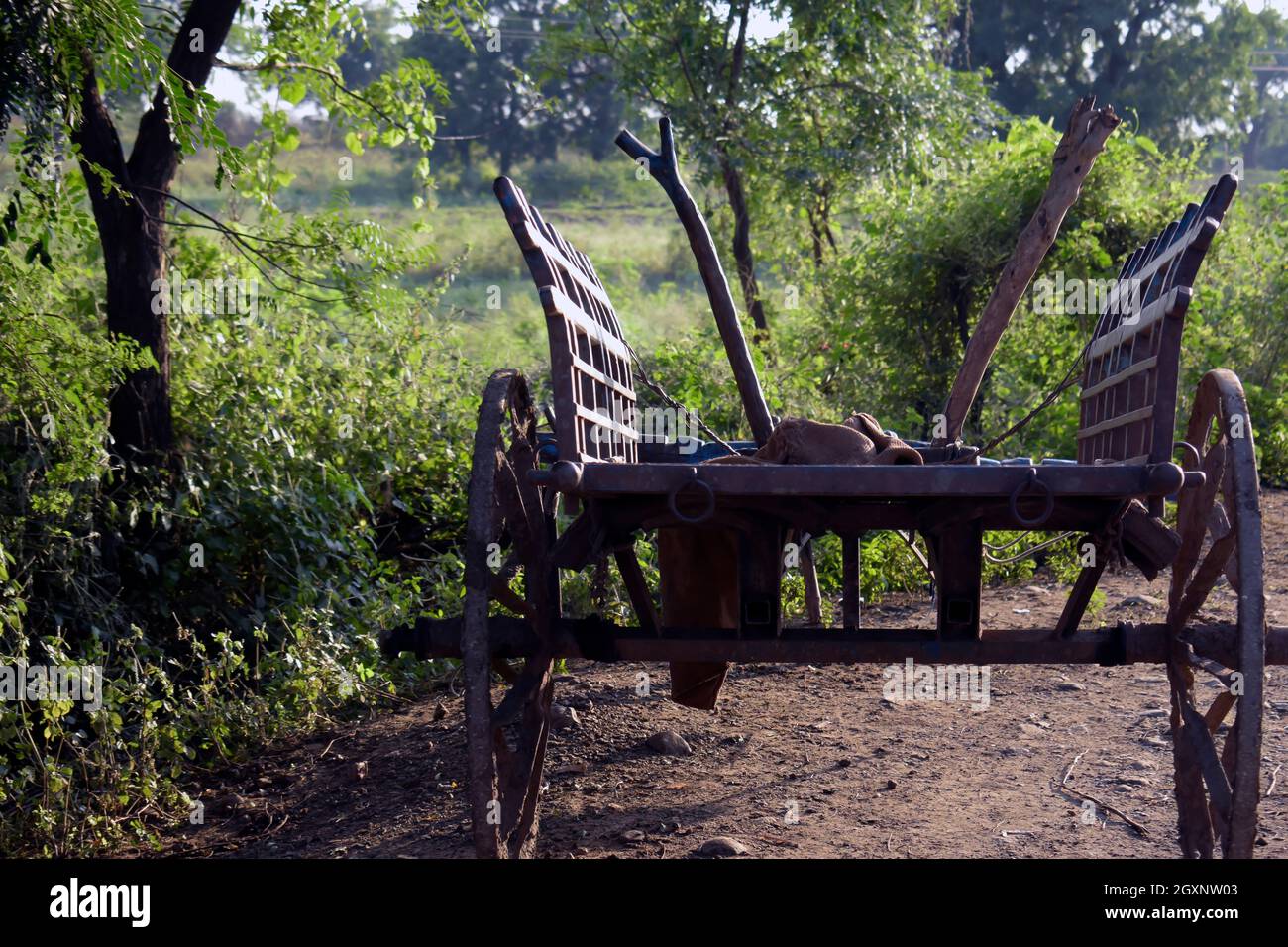 Some Photos of Old indian wooden bullock cart in green farm. Vintage ...