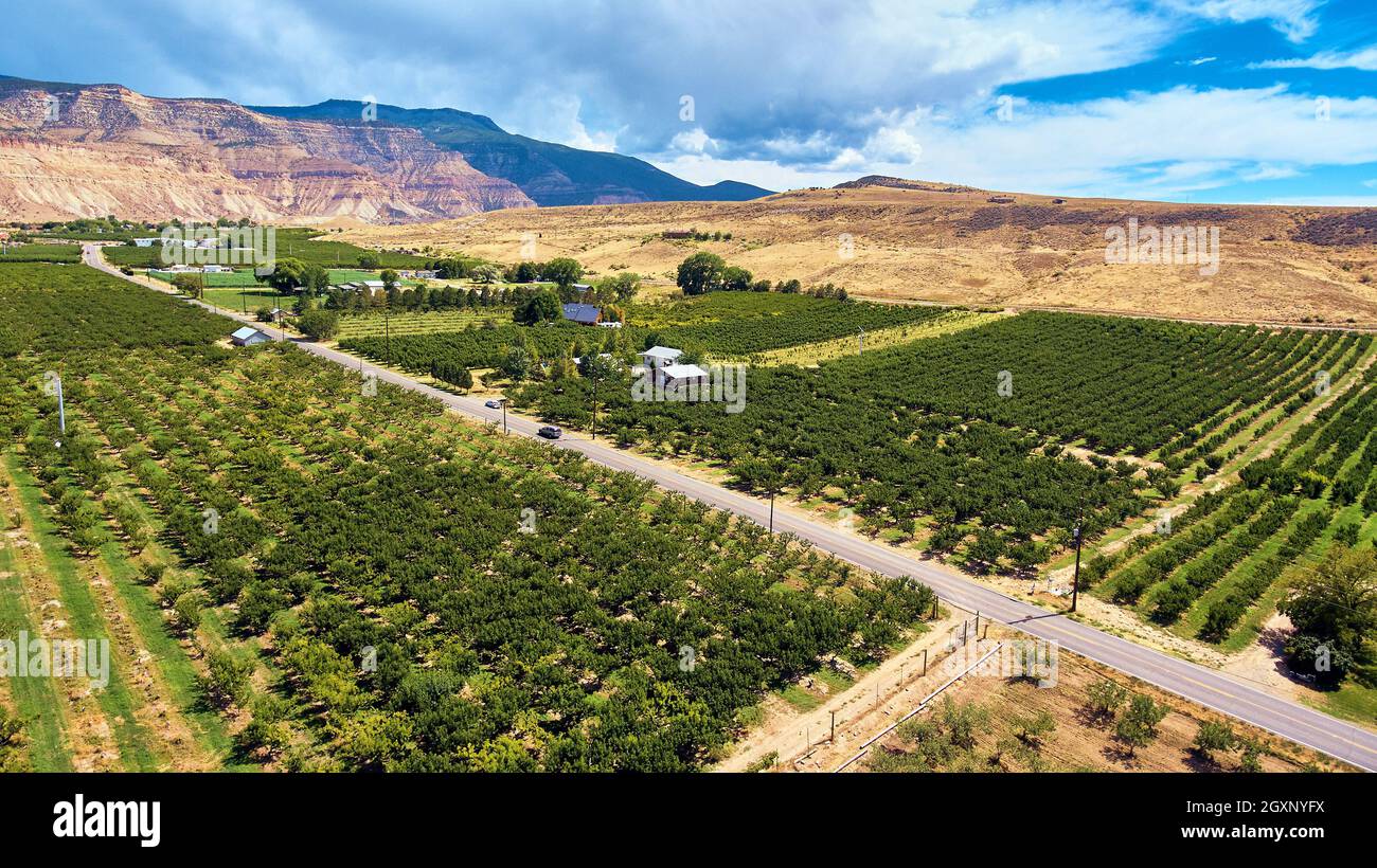 Palisade peach farms growing next to desert mountains Stock Photo - Alamy