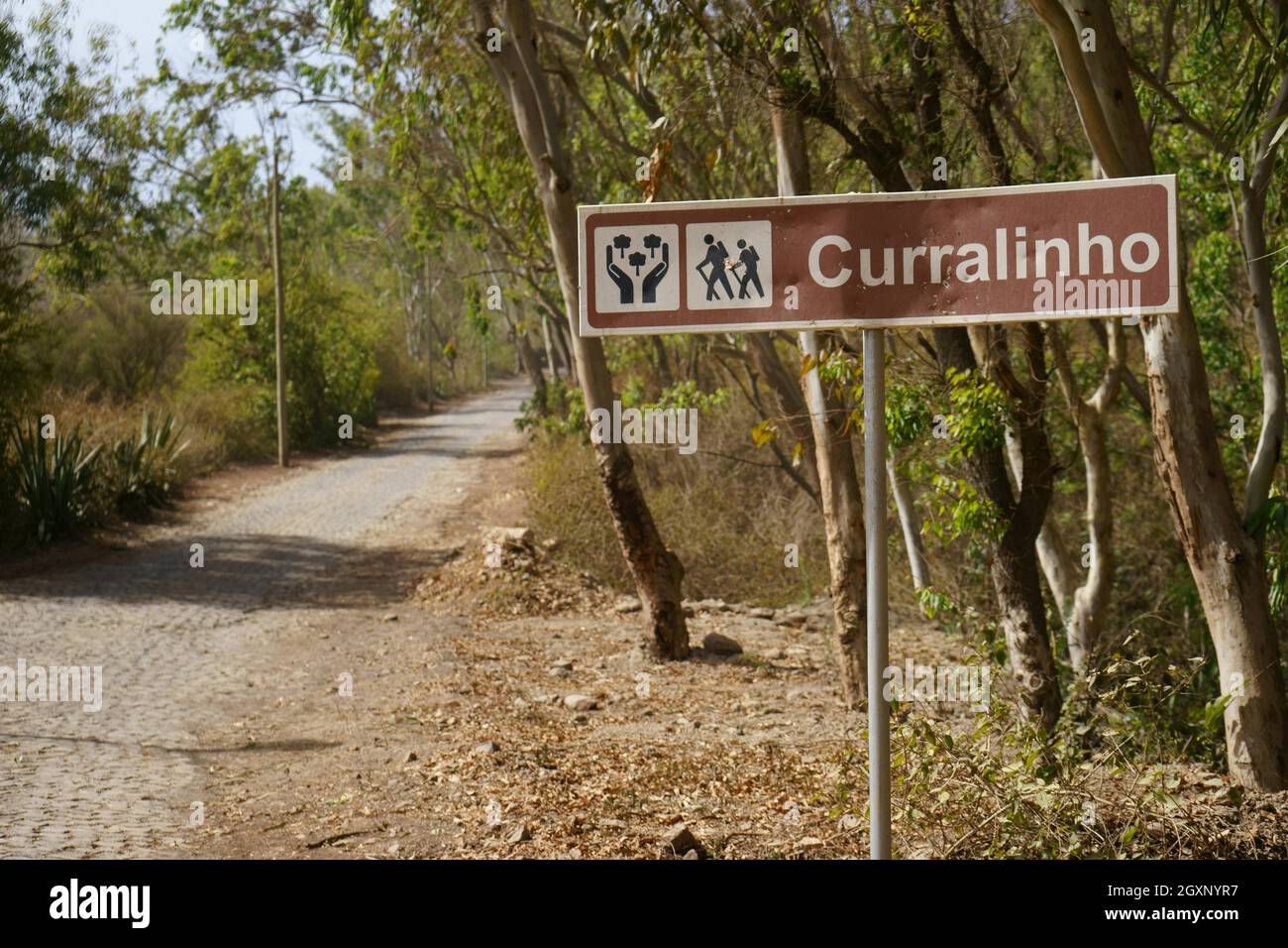 Paved road and town sign Curralinho, near Rui Vaz, mountain region ...