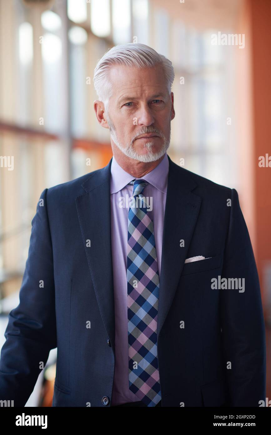 portrait of senior business man with grey beard and hair alone i modern ...