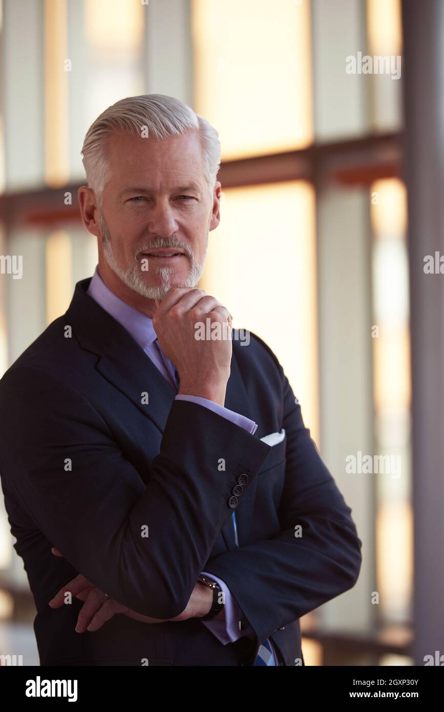 portrait of senior business man with grey beard and hair alone i modern ...