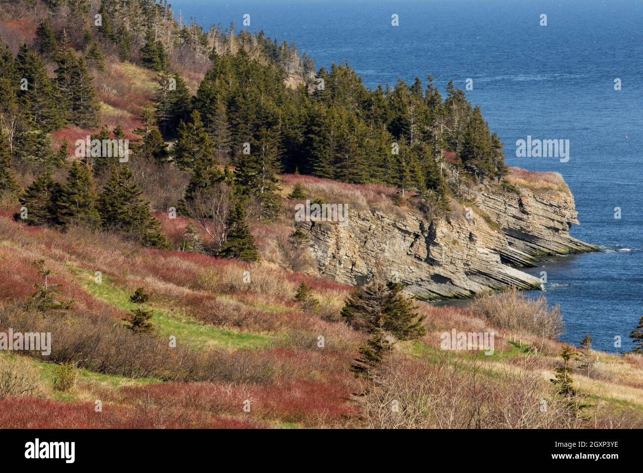 Canada quebec coast landscape hi-res stock photography and images - Alamy