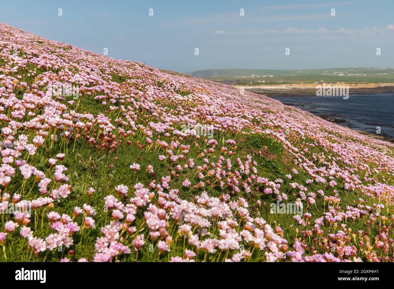 Brouch of Birsay, Orkney, Scotland, United Kingdom Stock Photo - Alamy