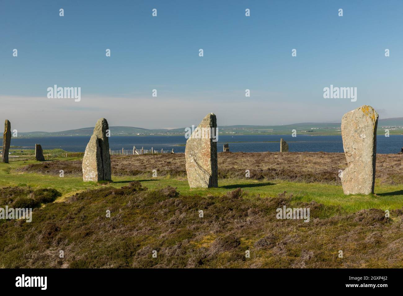 Stone circle of Brodgar, Orkney, Scotland, Great Britain Stock Photo ...
