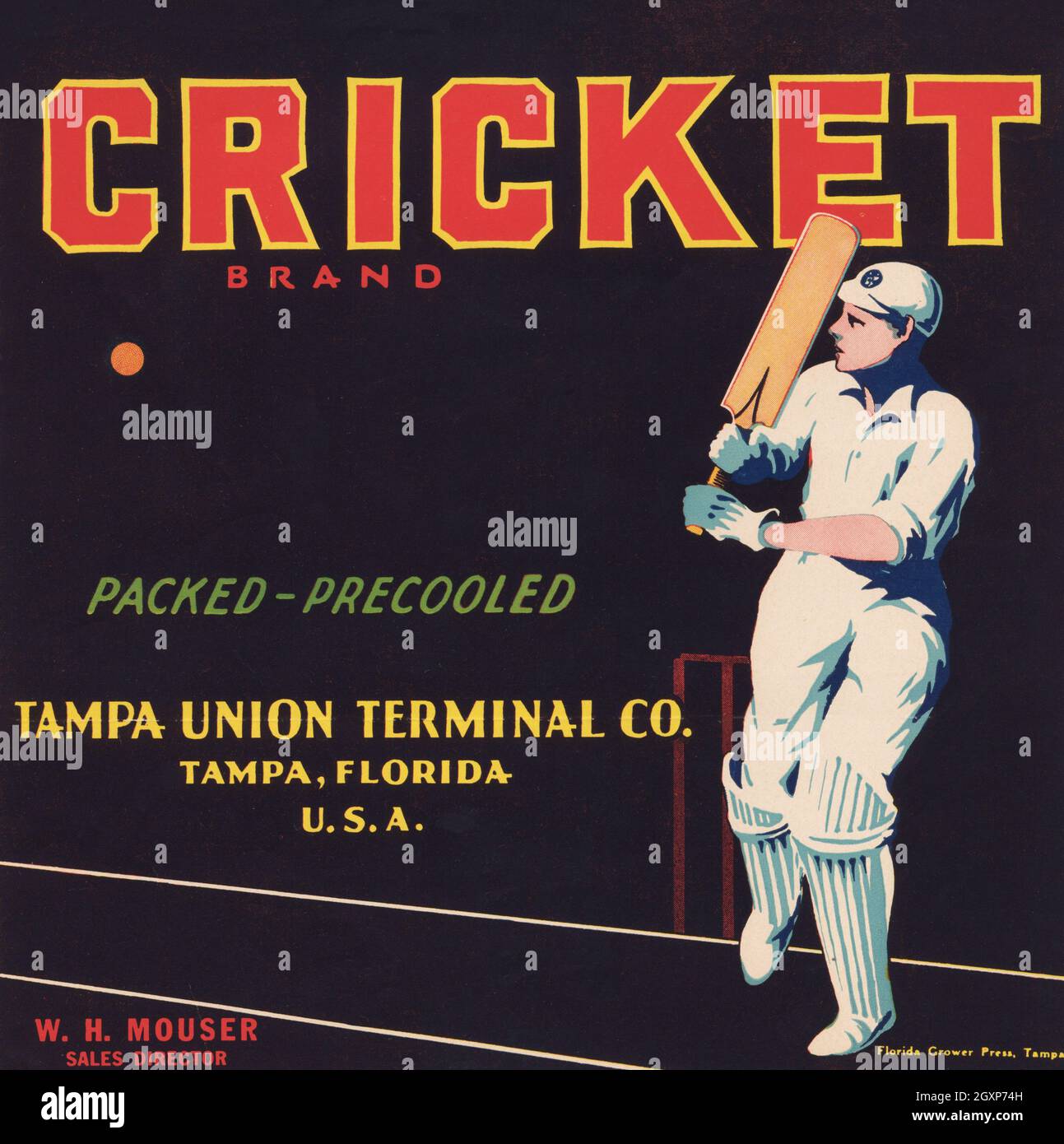Cricket sport label hi-res stock photography and images - Alamy