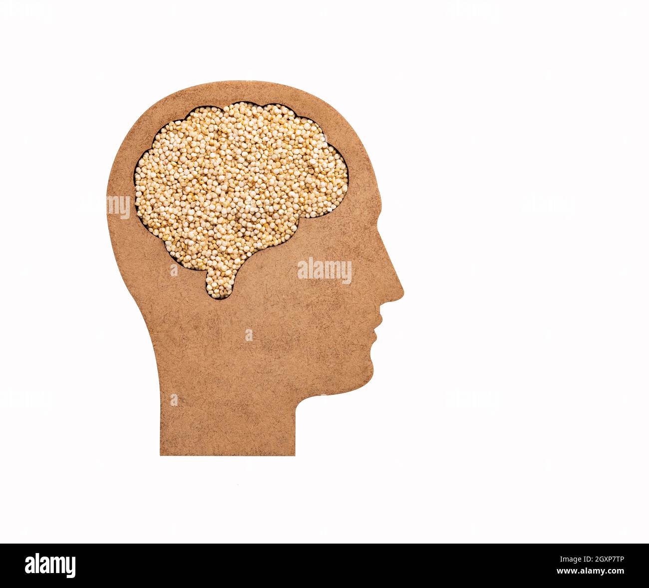 White organic quinoa seeds in the brain shaped bowl - Chenopodium ...