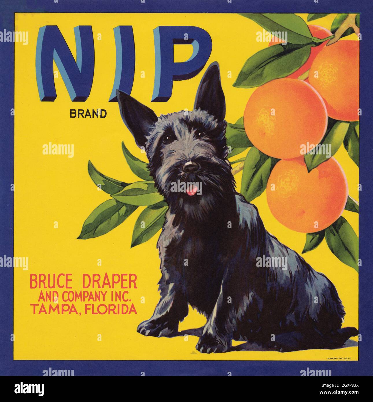 Nip the dog hi-res stock photography and images - Alamy