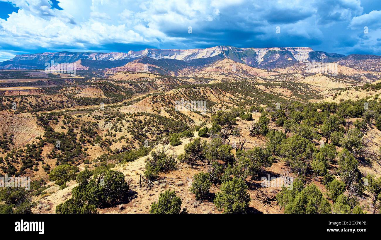 Desert forest with large open mountain landscape and storm clouds Stock ...