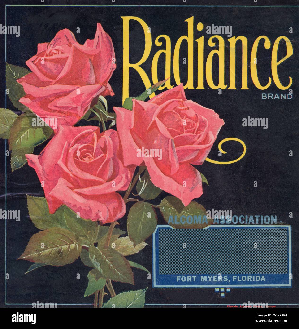 Rose brand hi-res stock photography and images - Alamy