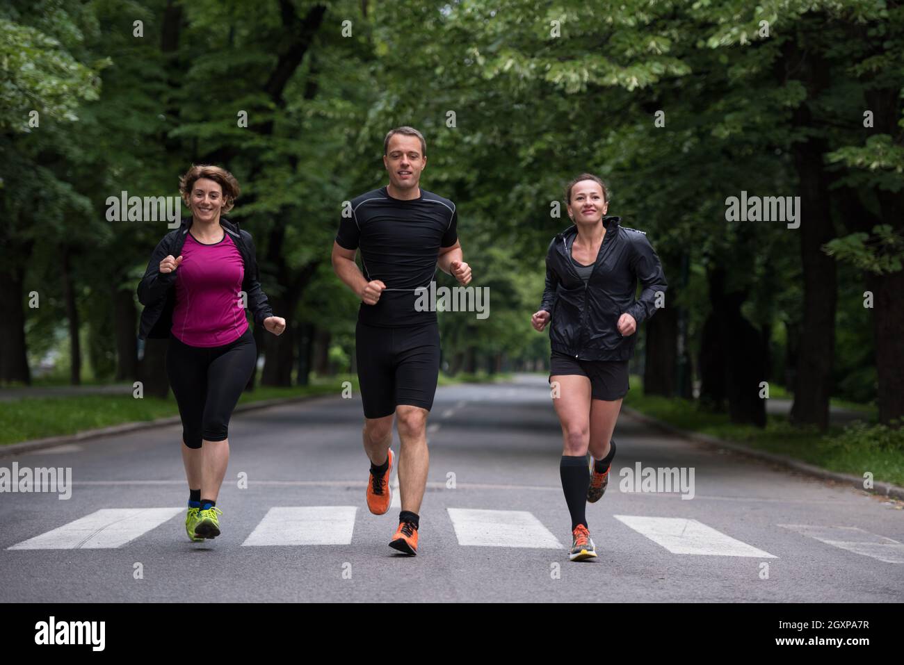 group of healthy people jogging in city park, runners team on morning ...