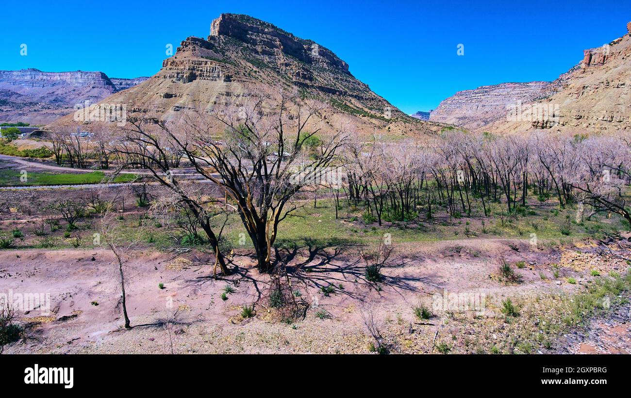 Fire desert burned hi-res stock photography and images - Alamy