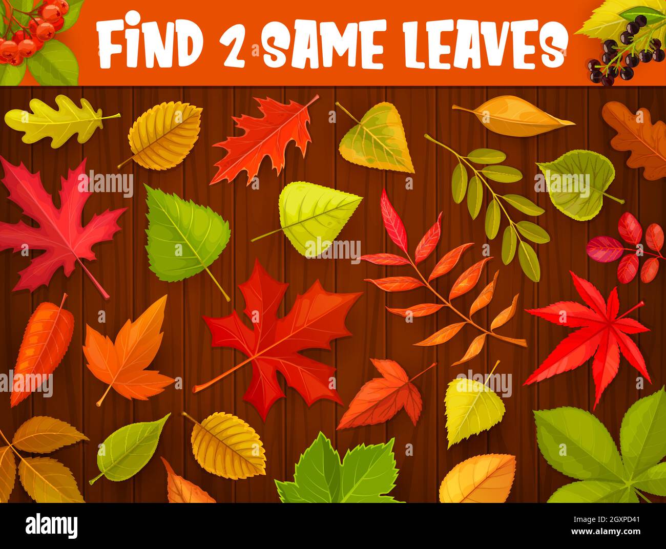 Kids maze game, find two same autumnal leaves, vector tabletop riddle ...
