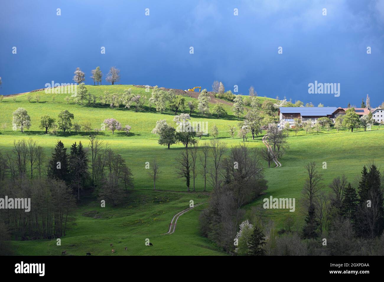 hiking in Mostviertel Austria Stock Photo - Alamy