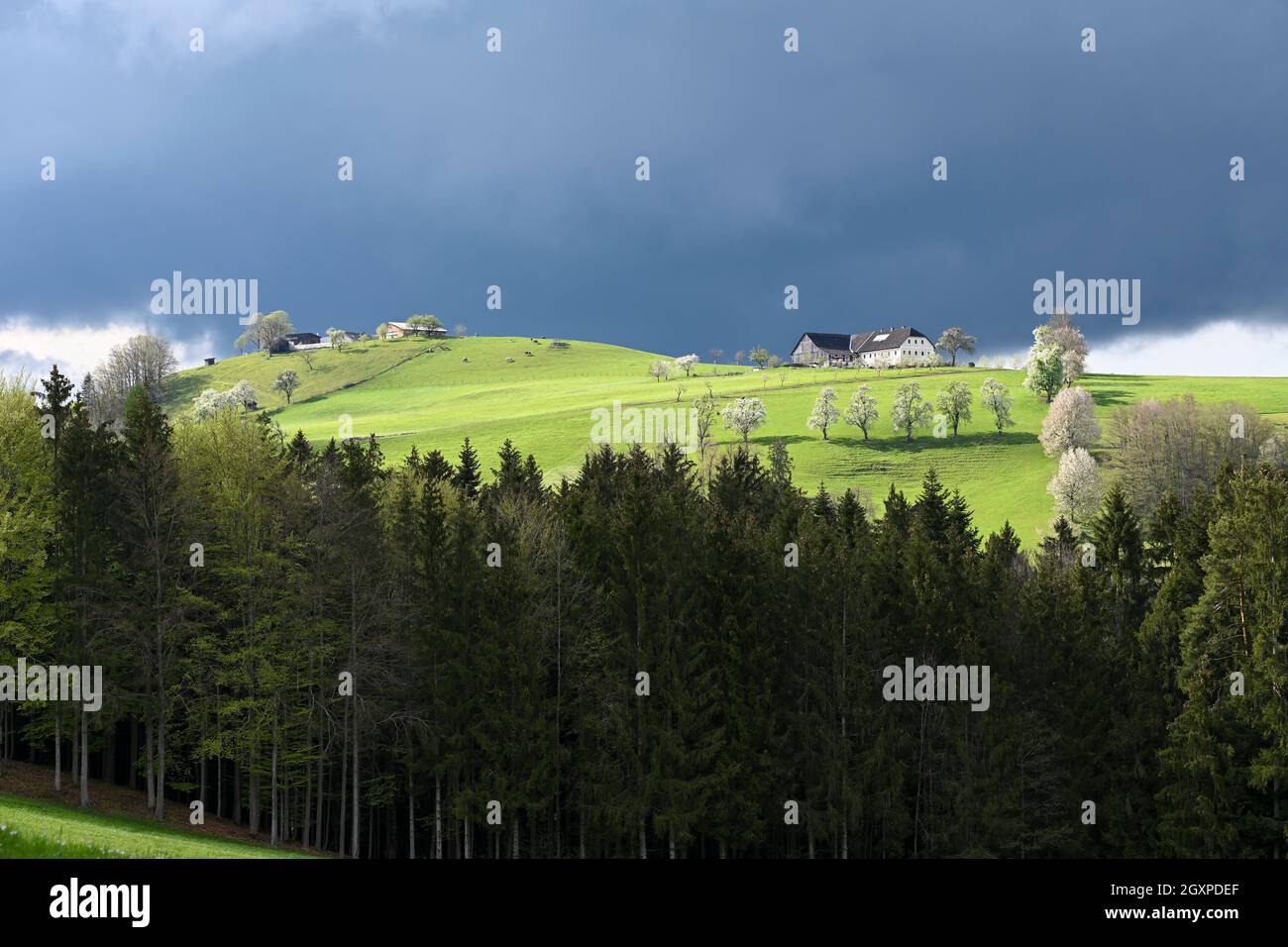 hiking in Mostviertel Austria Stock Photo - Alamy
