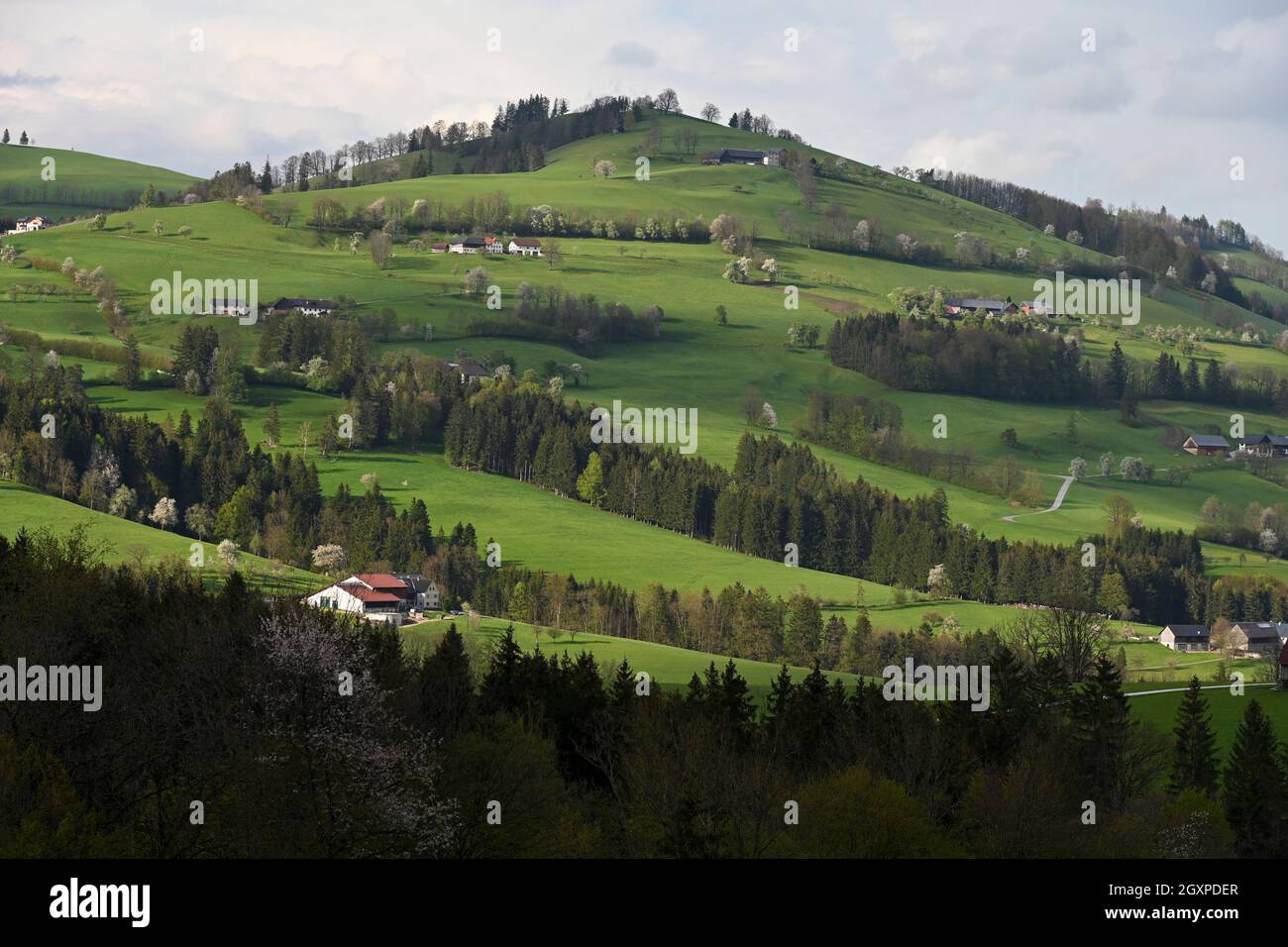 hiking in Mostviertel Austria Stock Photo - Alamy