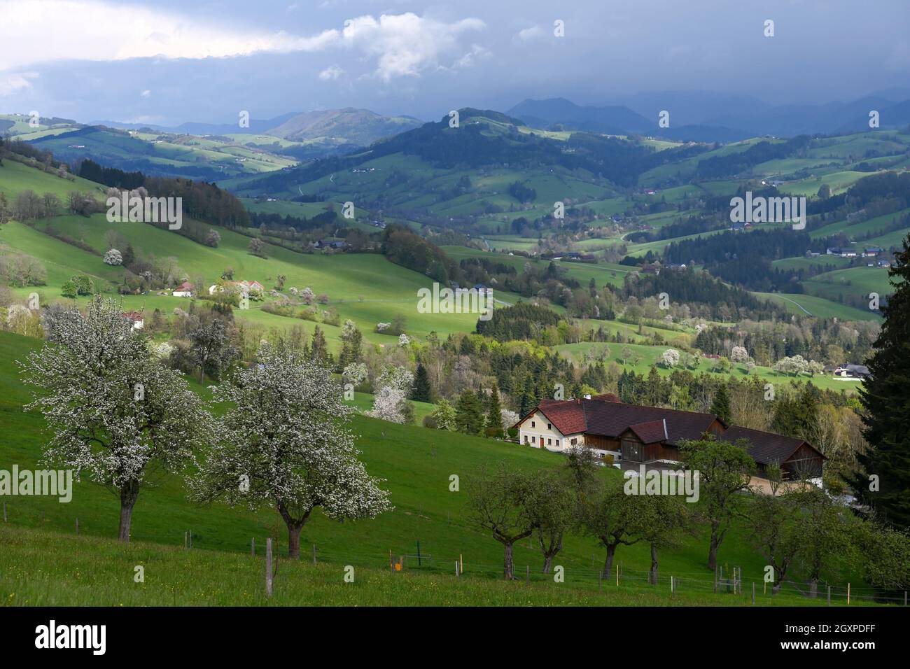 hiking in Mostviertel Austria Stock Photo - Alamy