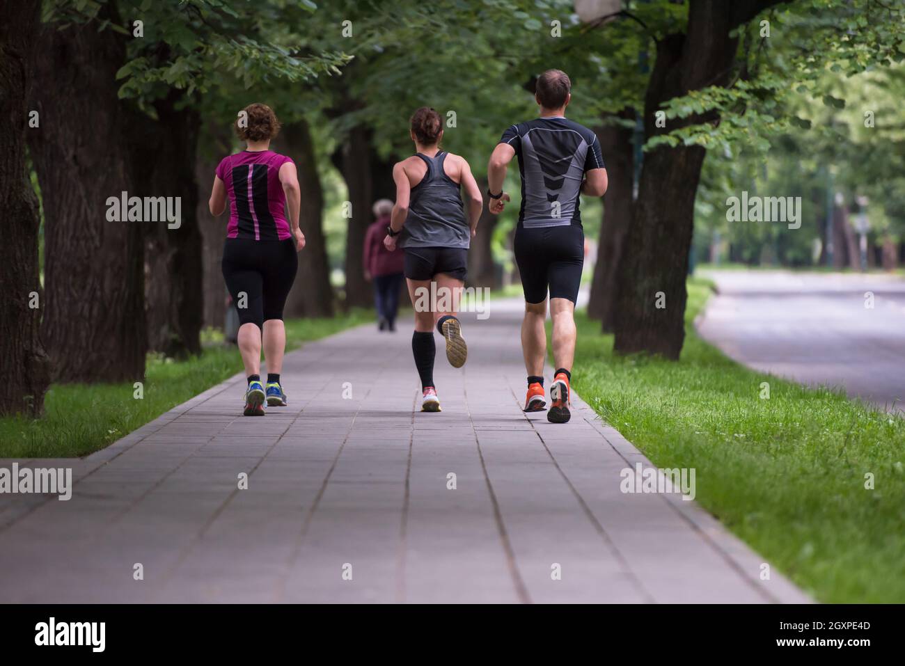 group of healthy people jogging in city park, runners team on morning ...