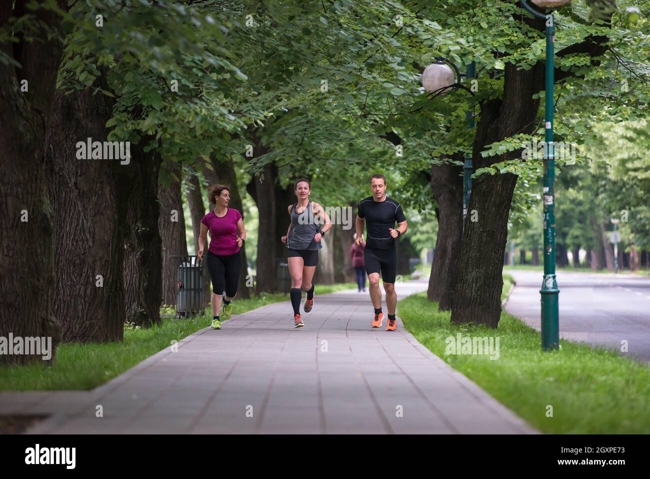 group of healthy people jogging in city park, runners team on morning ...