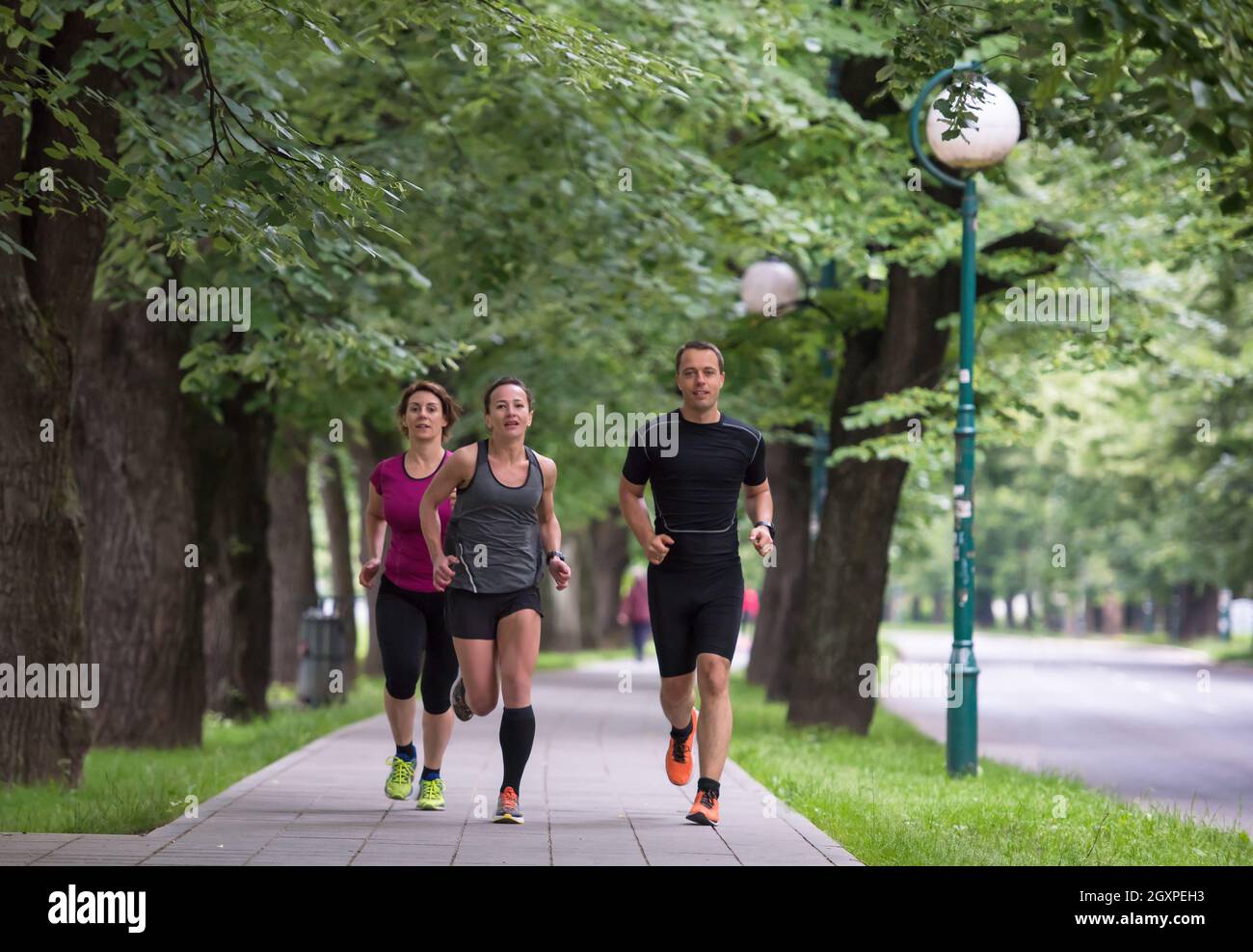 group of healthy people jogging in city park, runners team on morning ...