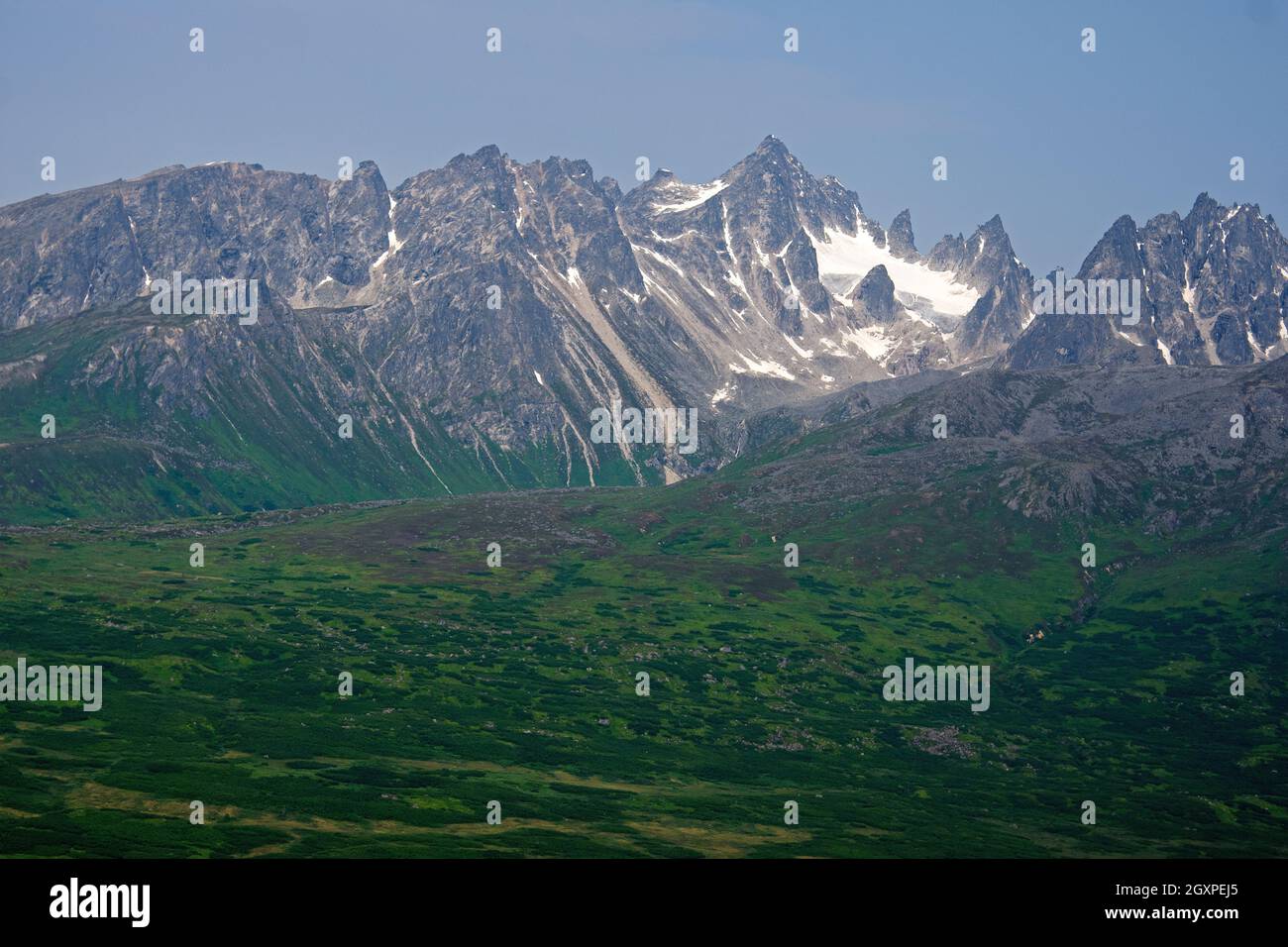 Terminal end of Ruth Glacier covered in green during the summer months ...