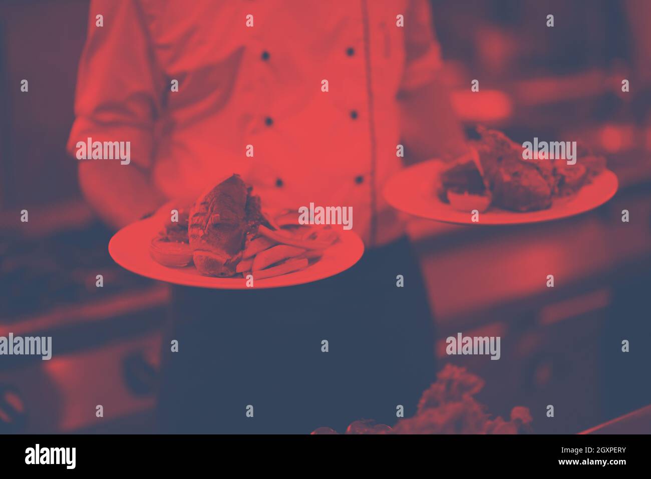 young Chef presenting dishes of tasty meals in commercial kitchen Stock ...