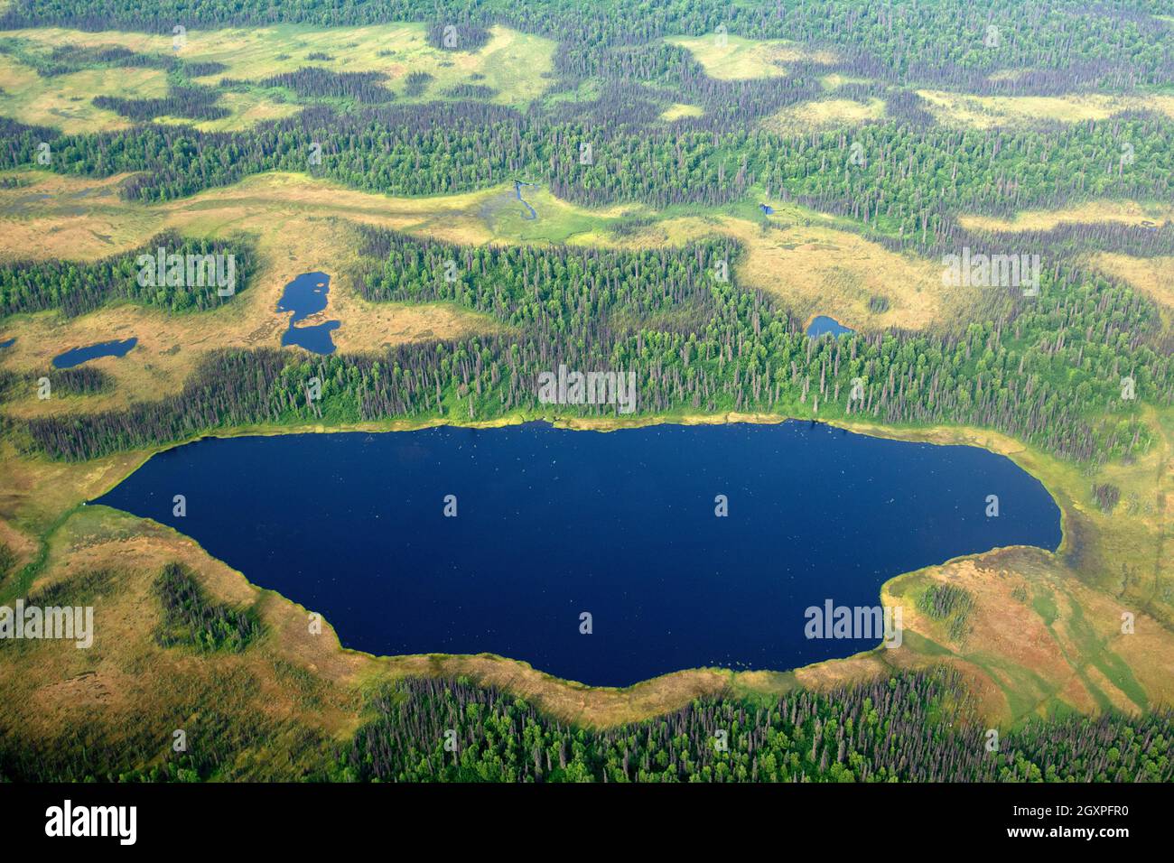 Aerial view of a taiga lake at Trapper Creek, Talkeetna, Alaska, USA ...