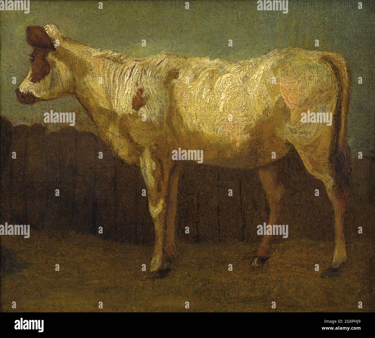 Cow portrait painting hi-res stock photography and images - Alamy